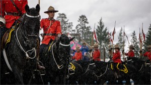 Daryl Bell | Bridge Lake Photo Group