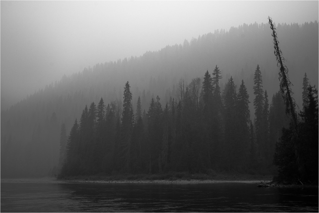 Daryl Bell | Bridge Lake Photo Group