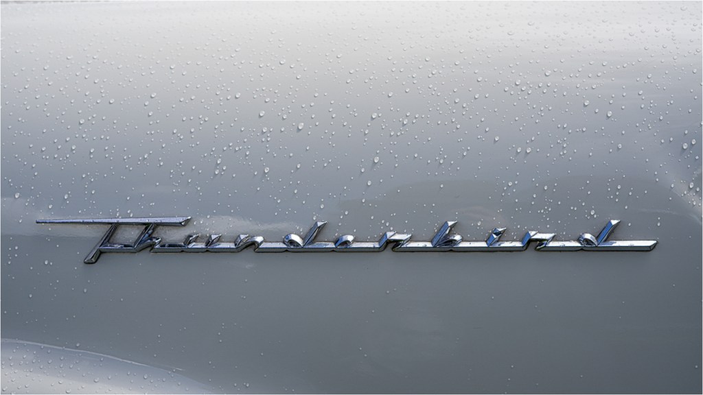 Daryl Bell | Bridge Lake Photo Group