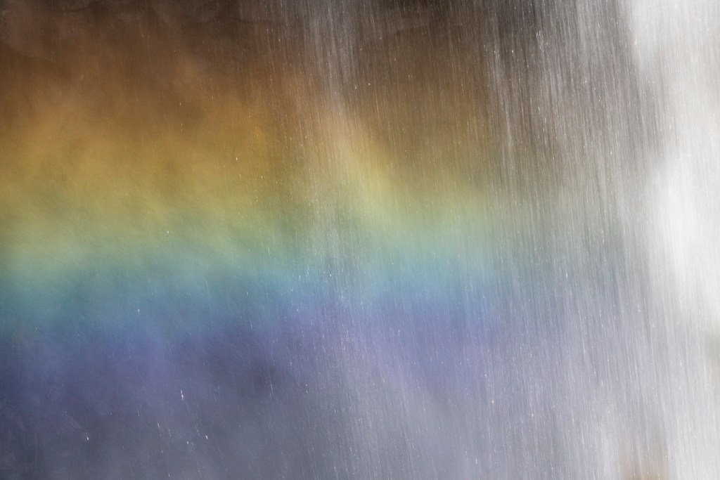 Daryl Bell | Bridge Lake Photo Group