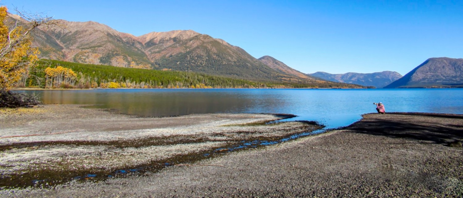 Bridge Lake Photo Group | We look at the world through a lens – and ...