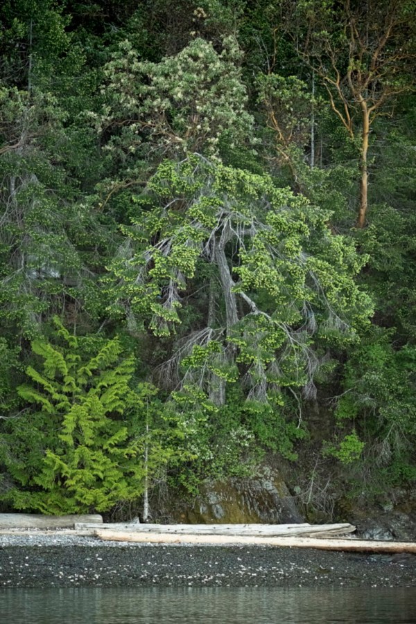 Bridge Lake Photo Group | We look at the world through a lens – and ...