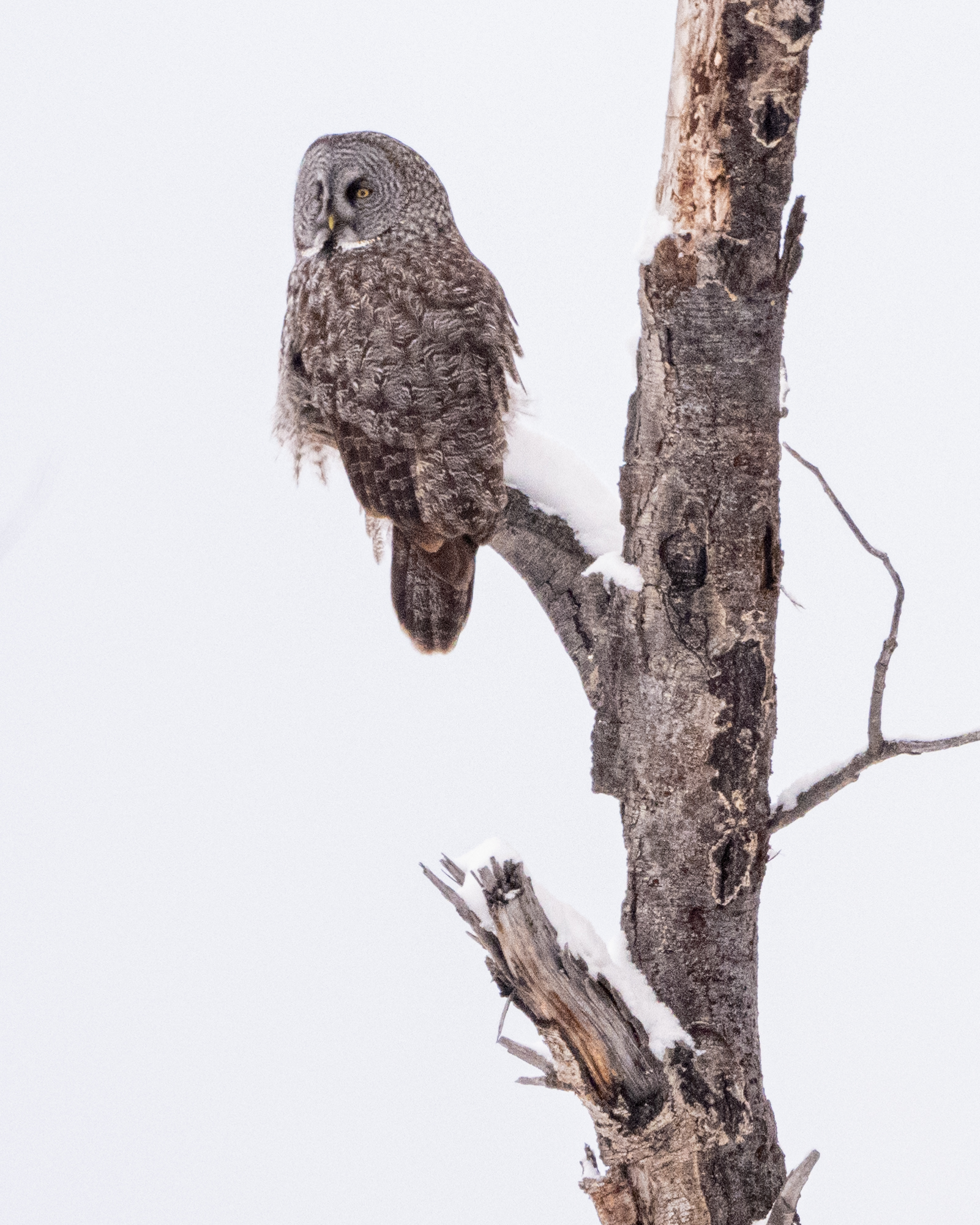 Bridge Lake Photo Group | We look at the world through a lens – and ...