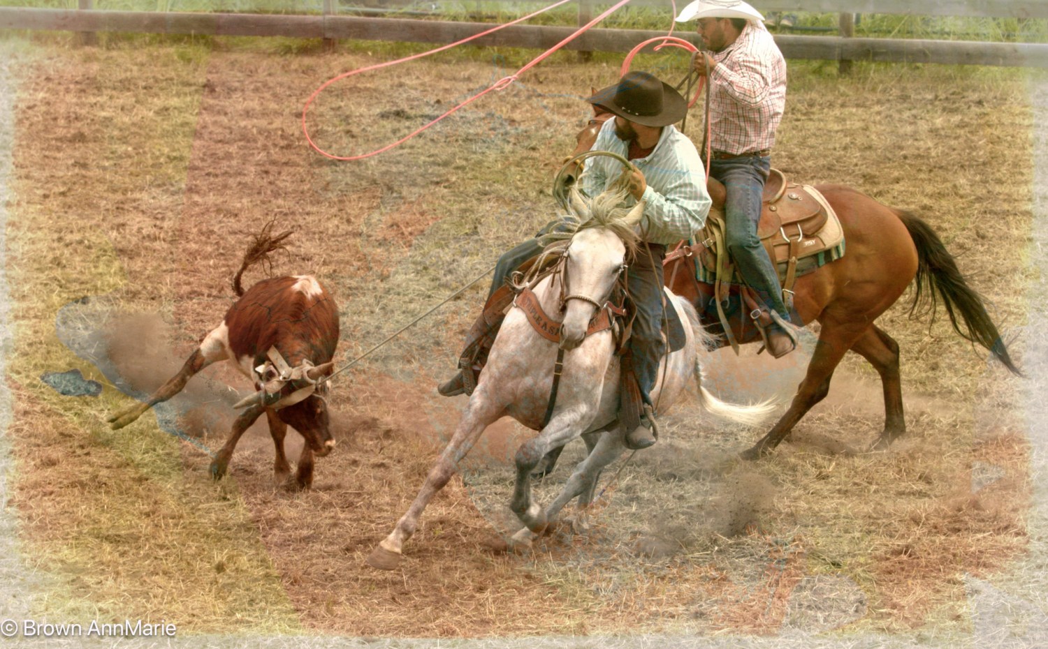 Bridge Lake Photo Group | We look at the world through a lens – and ...
